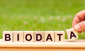 Biodata Format for Job Application [Tips & Examples]