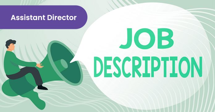 Assistant Director Job Description: Role & Responsibilities [2024]