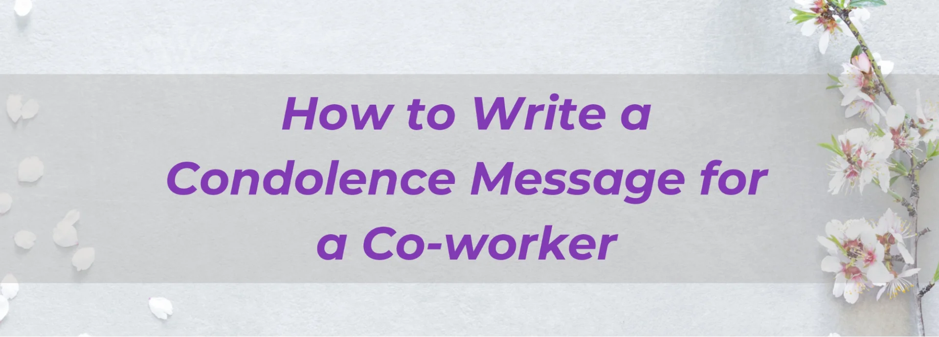 Condolence Message to Colleague: Examples, Templates & Tips