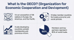 OECD Internship Programme 2026: Eligibility, Stipend, How to Apply